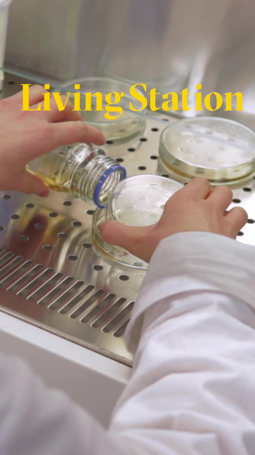 Working with Nature: Living Station Lab: 2023